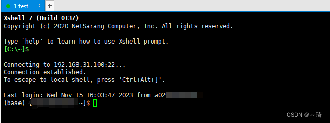 服务器上使用docker搭建pytorch框架下的yolov5训练环境_yolo docker-CSDN博客