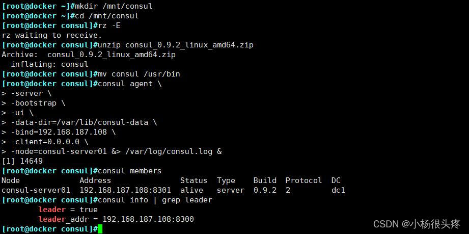 Consul（注册中心）部署_consul部署-CSDN博客