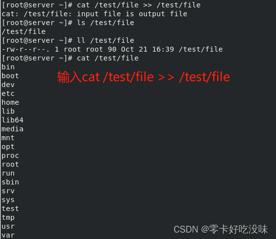 Linux作业 Csdn博客