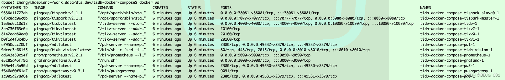 docker部署TiDB_tidb docker-CSDN博客