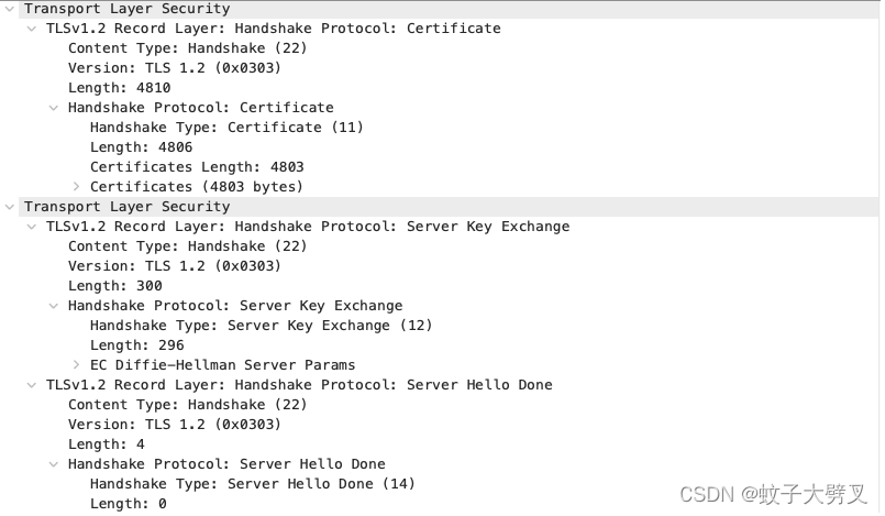 SSL/TLS 1.2技术介绍_rfc tls-CSDN博客