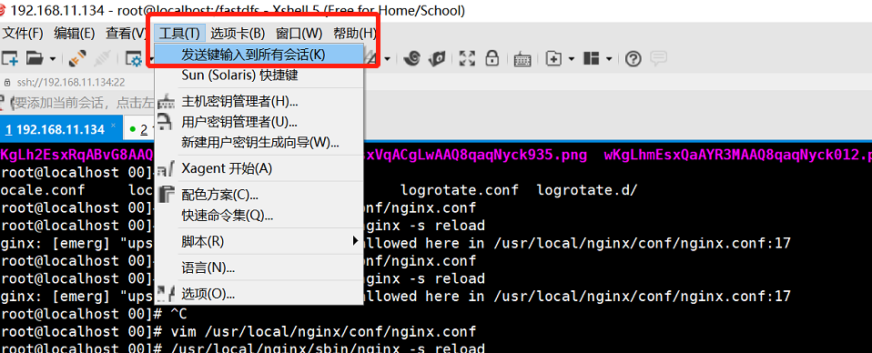 FastDFS单机、单节点和多节点集群部署文档_dfs多节点部署-CSDN博客