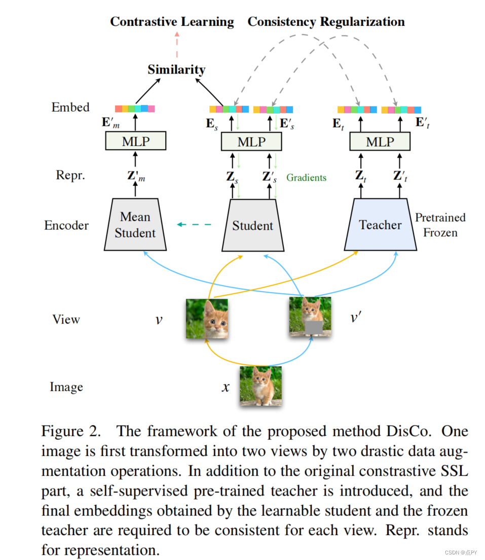 自监督学习论文、代码汇总_dcl 和 byol 技术-CSDN博客