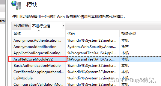 IIS10.0部署netcor+vue前后端两个HTTPS域名方法IIS配置API接口转发_iis10 部署vue-CSDN博客