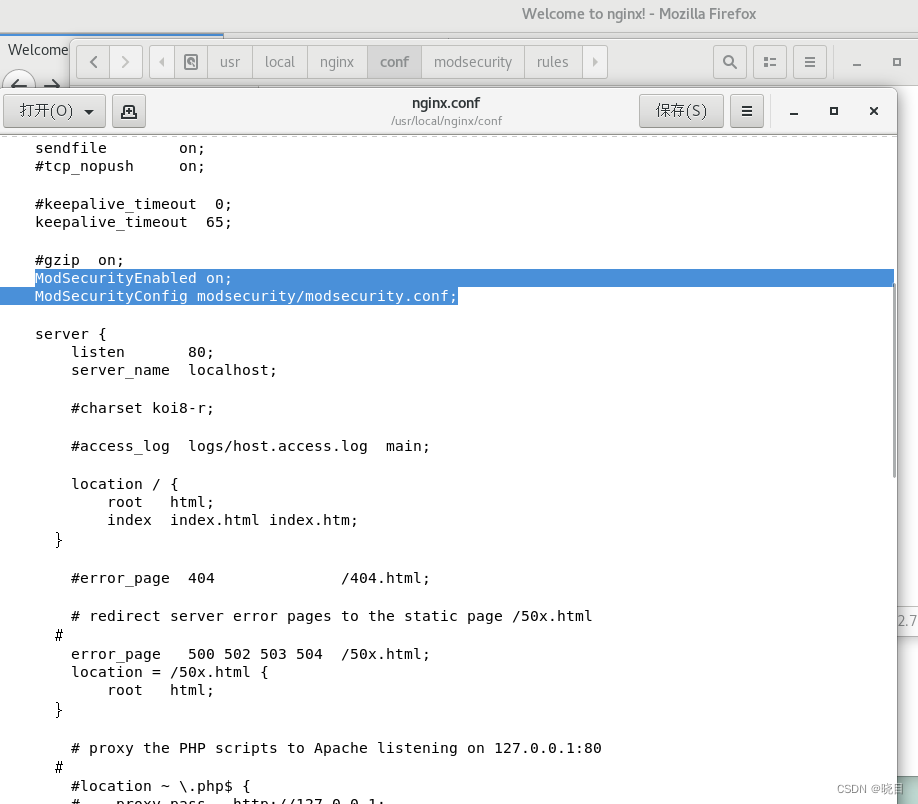 WAF简介以及ModSecurity安装_waf安装_晓目的博客-CSDN博客