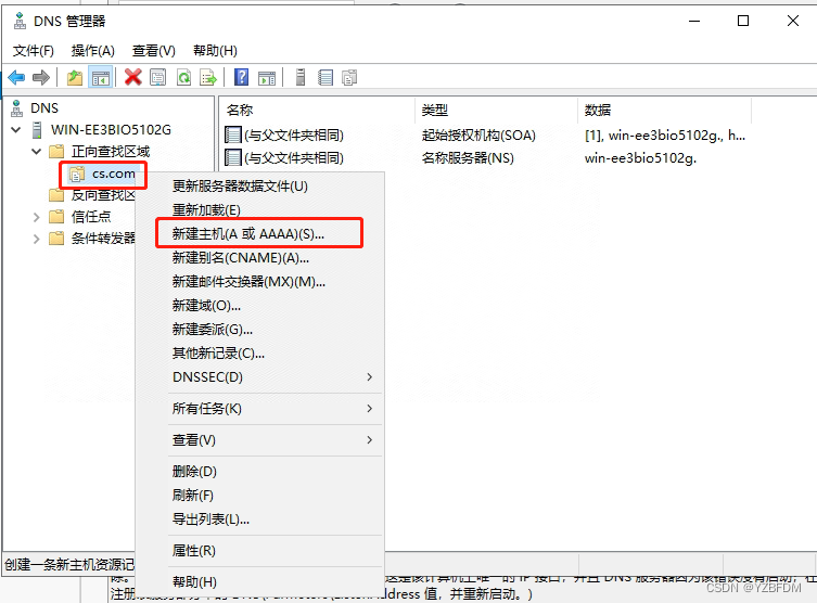 Windows Server 2022 DNS服务器配置_在server 2022 dns上如何配置 名称服务器(ns)文件-CSDN博客