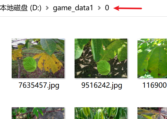 数据集按照csv格式标签划分为训练集和验证集（完整代码）_train.csv-CSDN博客