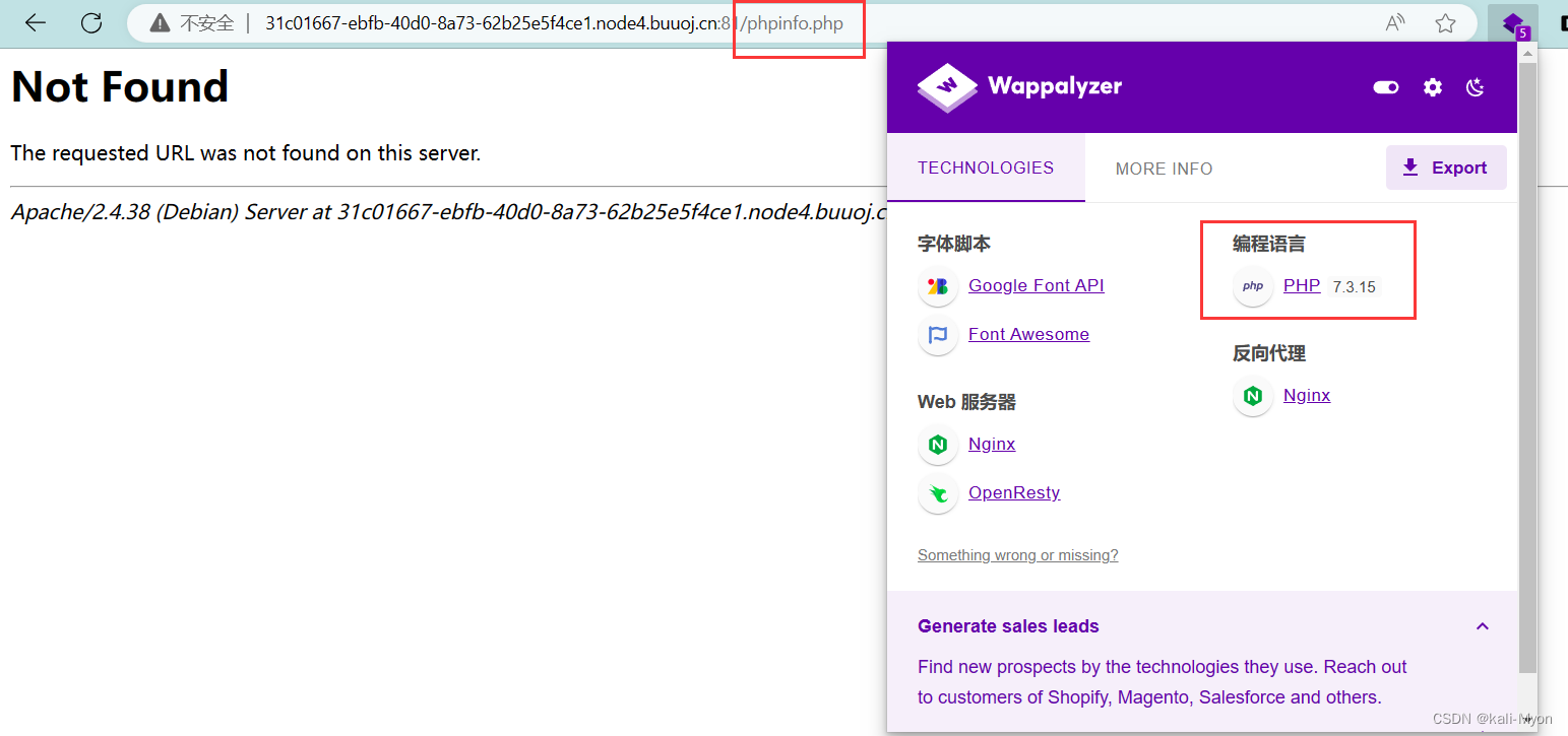 NewStarCTF2023week2-R!!C!!E!!（非常详细完整解题全过程）_week2 r!!c!!e!!-CSDN博客