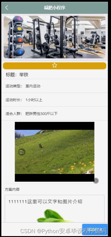 [附源码]计算机毕业设计Python+uniapp减肥小程序tb0i7(程序+lw+远程部署)-CSDN博客