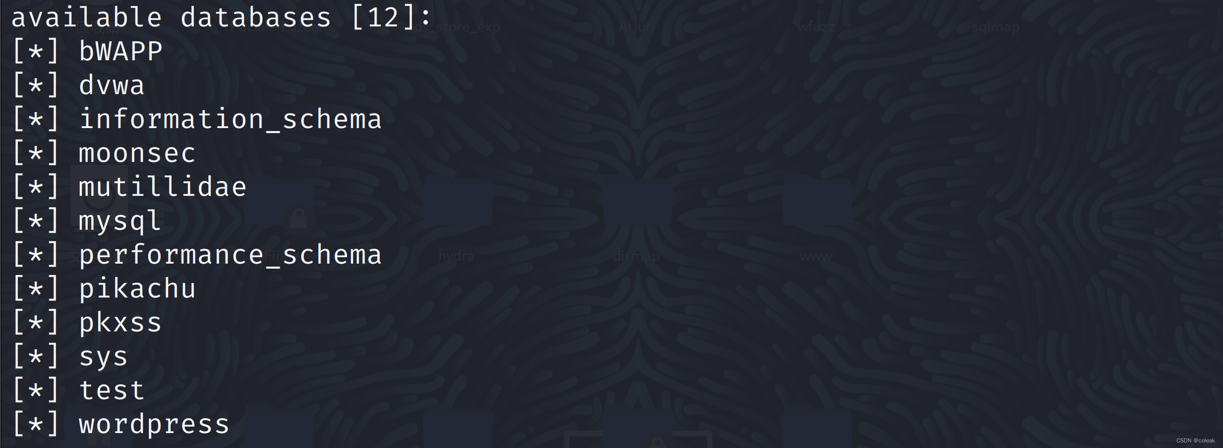 【sqlmap渗透进阶】DNS-domain注入_sqlmap dns注入-CSDN博客