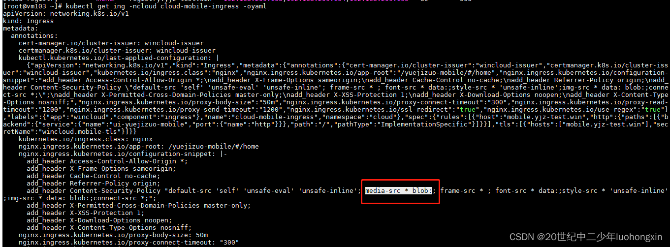 无法播放Blob视频文件问题_vue 播放blob出错-CSDN博客