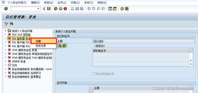 SAP 配置SSL/HTTPS服务_sap ssl-CSDN博客