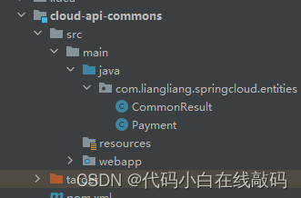 SpringCloud学习day02——消费者模块构建和代码重构_ war 重构-CSDN博客