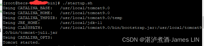 Linux版的 JAVA JDK11 和 Tomcat 配置_linux jkd 11 适配tomcat-CSDN博客