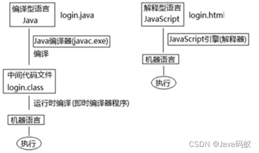 JavaScript（day1）转换and解释型语言和编译型语言_Java码蚁的博客-CSDN博客