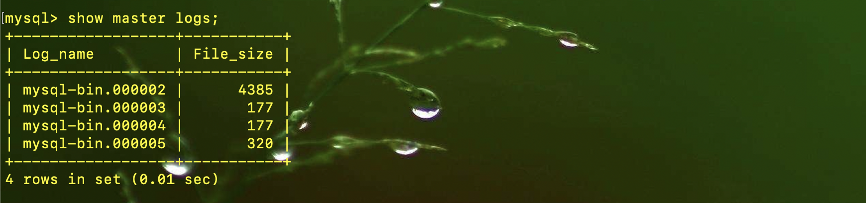 数据库误删除后的两种恢复方法（一）日志操作篇_数据库误删了数据怎么恢复-CSDN博客