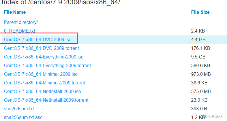官网CentOs7镜像下载详细步骤_centos7.7下载-CSDN博客
