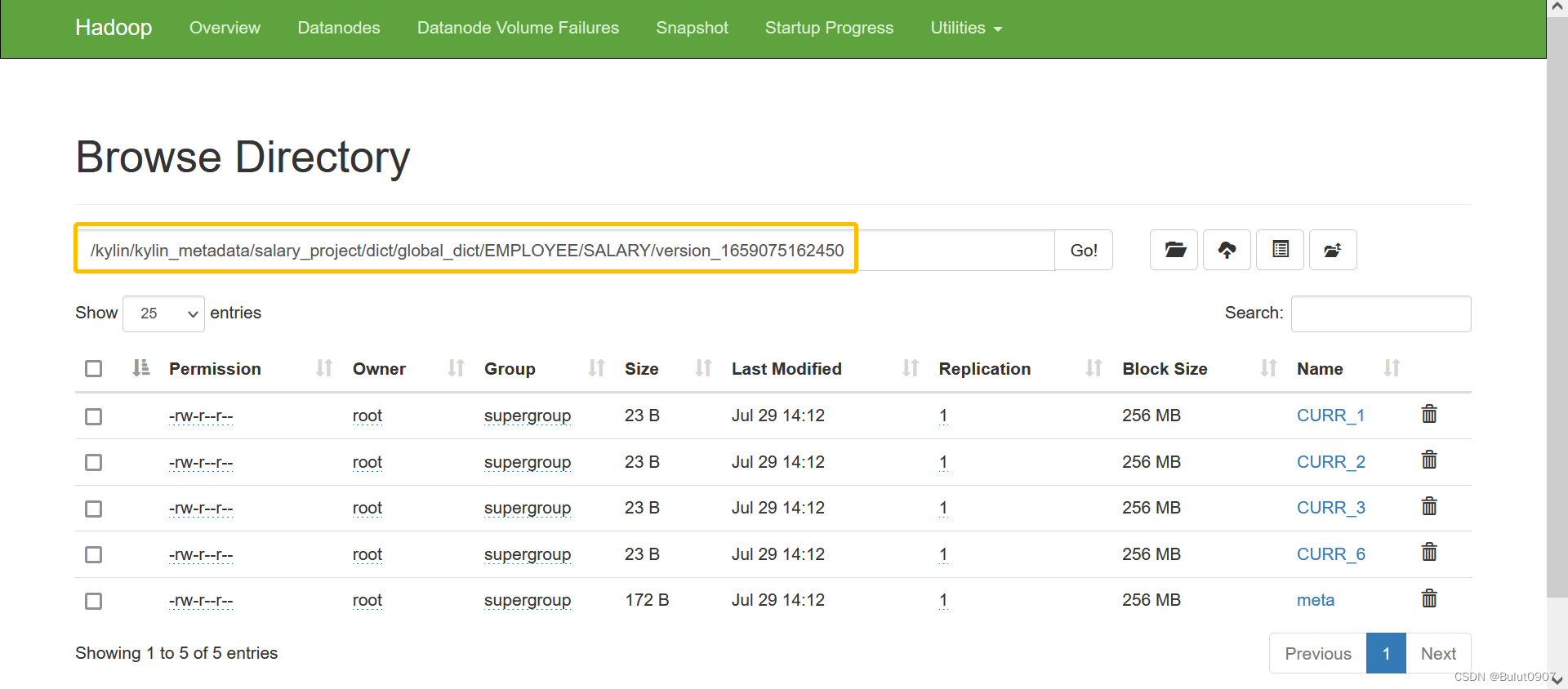 Kylin构建参数优化之全局字典dict和快照表table_snapshot_全局字典的构造与应用-CSDN博客