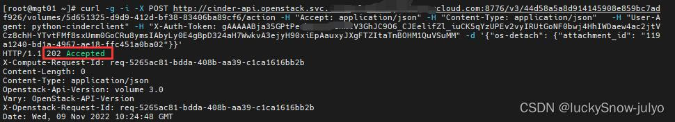 实例删除后volume仍然为in-use解决方法_volume is in use-CSDN博客