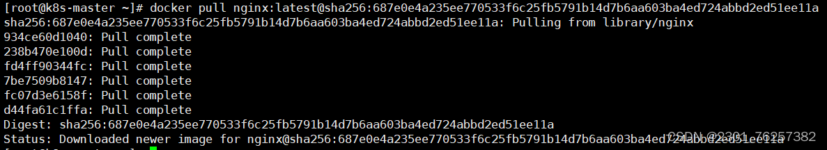 docker在x86平台下载arm的镜像_x86如何下载arm版本docker映像-CSDN博客