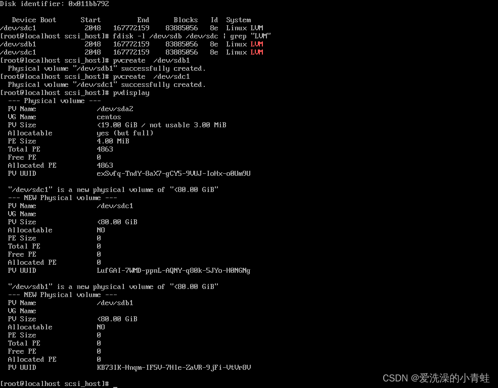 Linux网络服务_pvcreate-CSDN博客