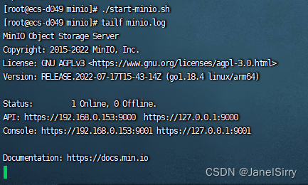 鲲鹏arm64 centos7下官方二进制文件带证书https安装minio X509等问题解决实践_error unable to validate passed arguments ...