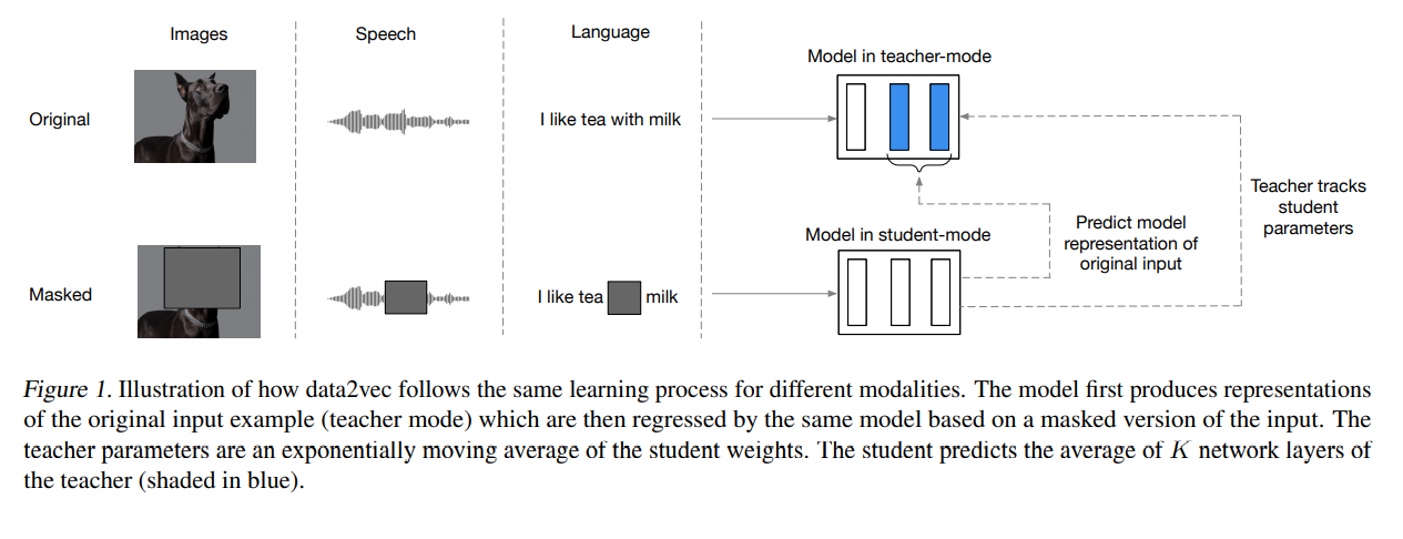【论文笔记】data2vec: A General Framework for Self-supervised Learning in Speech,Vision and Language ...