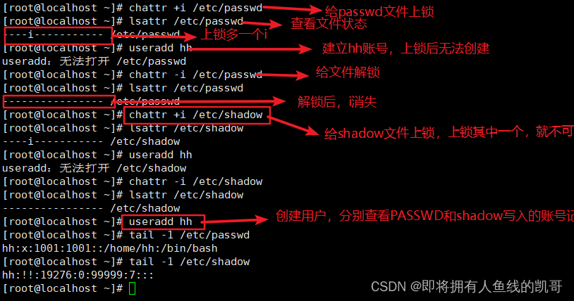 Linux系统安全及应用_vim /etc/profile-CSDN博客