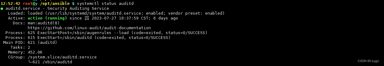 audit审计_auditctl -w-CSDN博客