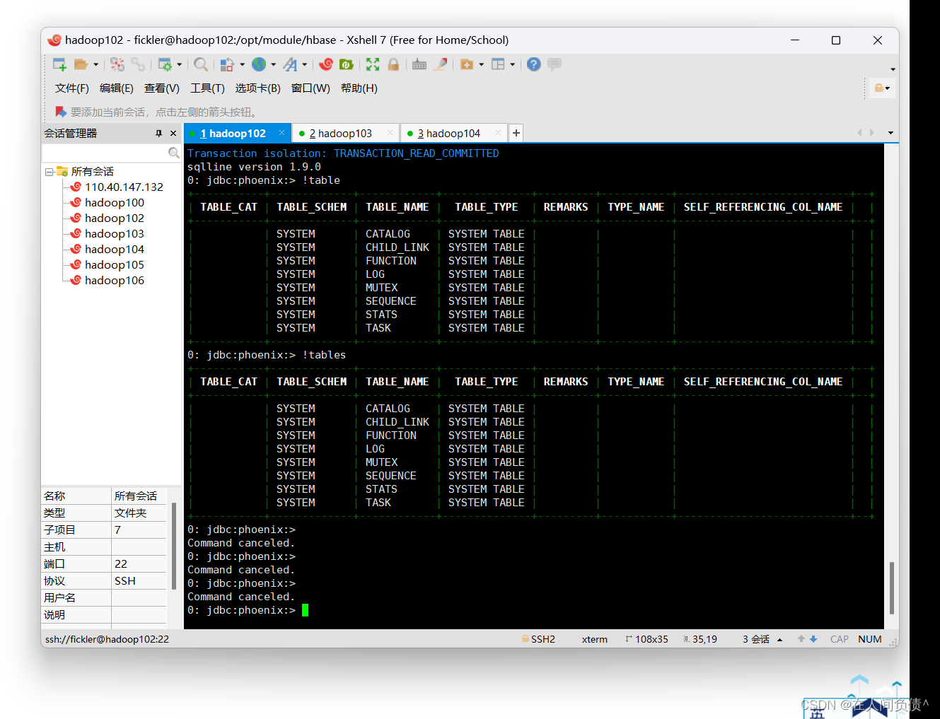 HBase 2.x ---- 整合 Phoenix_hbase2.x 版本与phoneix 对应-CSDN博客