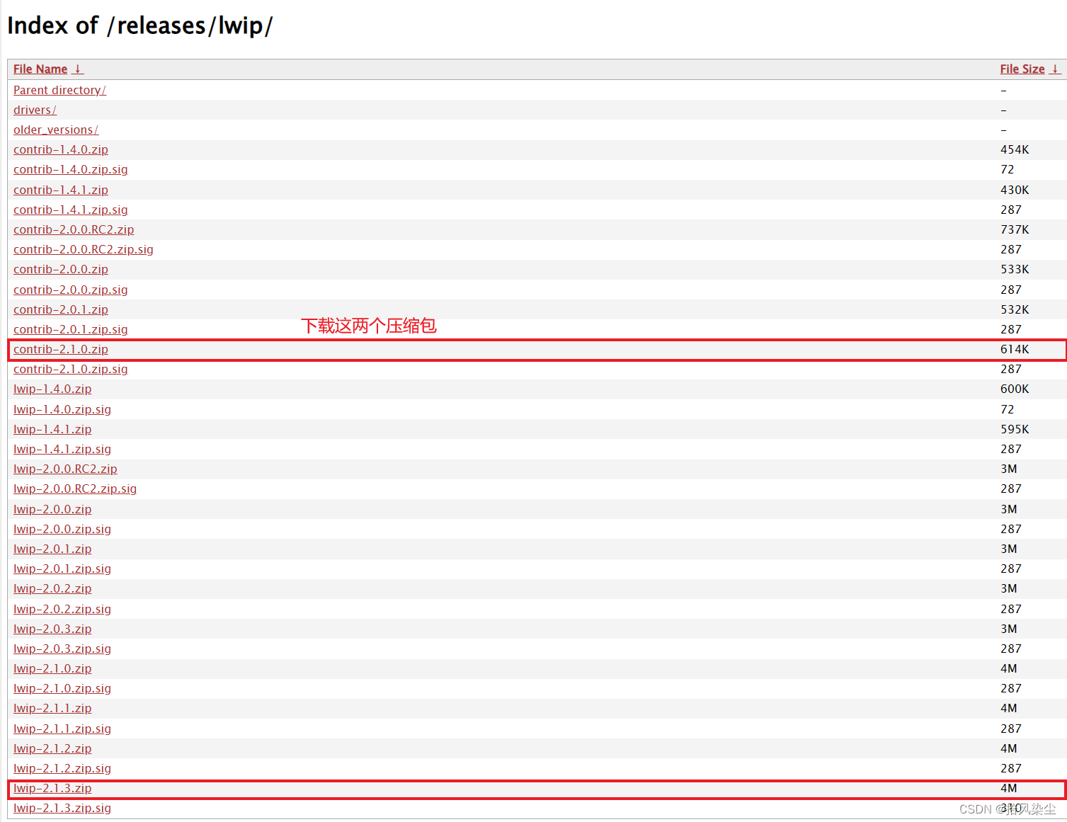 STM32F407【标准库】+LAN8720A+FreeRTOS移植LwIP(2.1.3)→实现DHCP_stsw-stm32070-CSDN博客