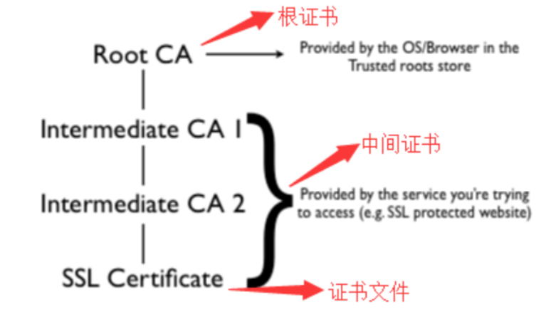 一文搞清电子认证相关概念：CA、证书、PKI、CSR、SSL、TSL、CRT、CER、PEM、RSA等_ca csr-CSDN博客