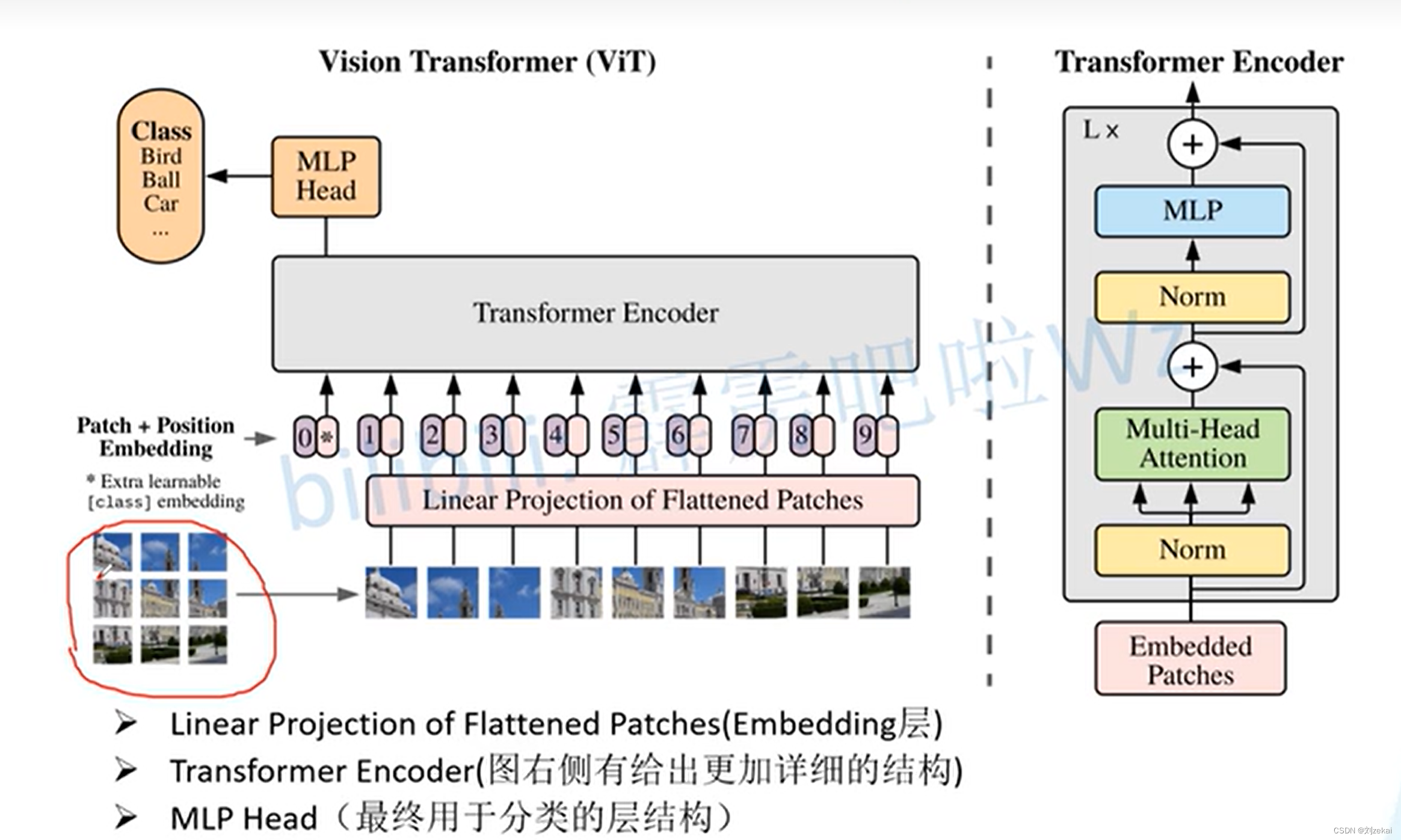 第六周学习_transformer降采样-CSDN博客