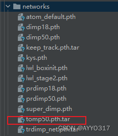 单目标跟踪算法及其复现过程---ToMP (CVPR2022, Transforming Model Prediction for Tracking)（三）_tomp csdn-CSDN博客