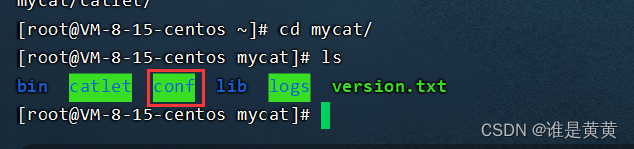 MyCat （一） Mycat的安装_安装配置mycat-CSDN博客