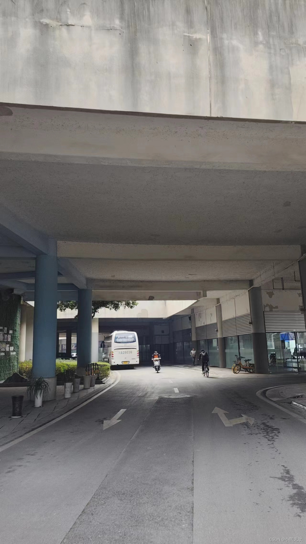 小黑在成都的第四天，去了电科大，逛了成都市区，等待面试结果心情舒服些了的leetcode之旅：剑指 Offer 46 把数字翻译成字符串andand剑指 Offer Ii 091 粉刷房子 Csdn博客 
