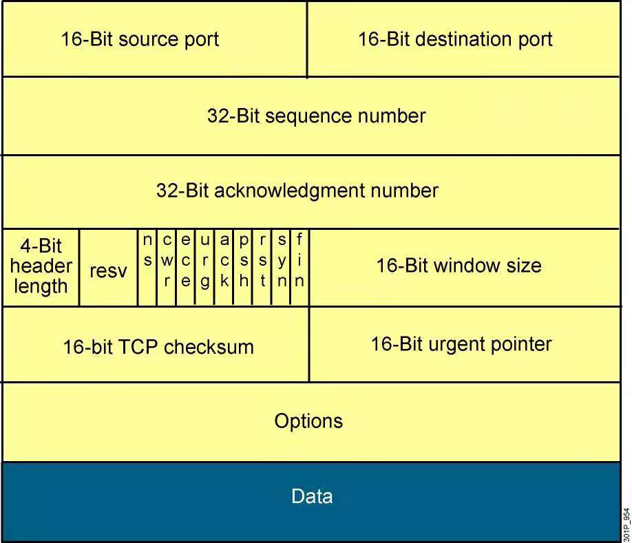 2021-10-30_哑终端-CSDN博客