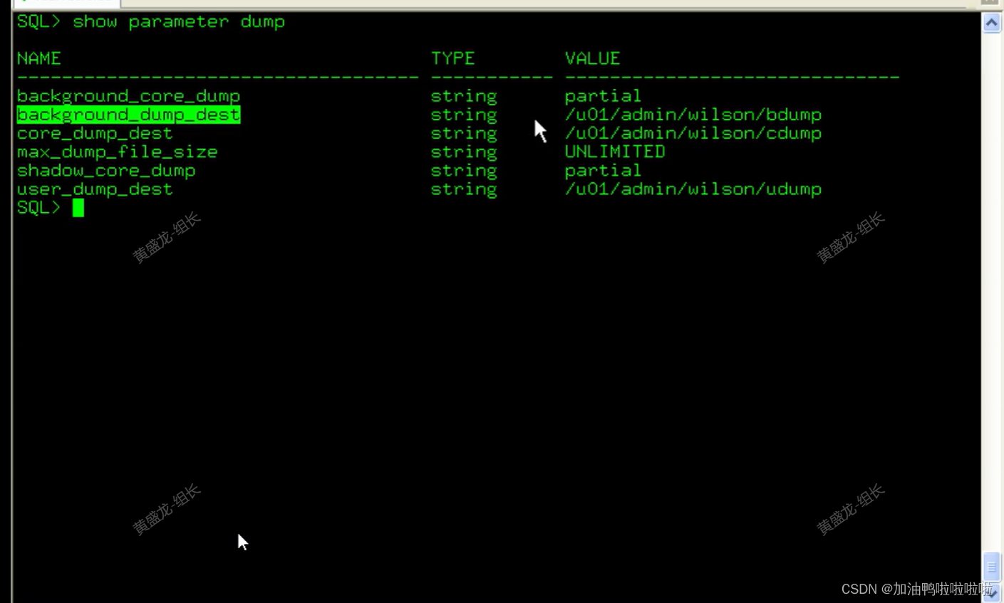 Oracle小布老师笔记 Oracle文件格式 Csdn博客