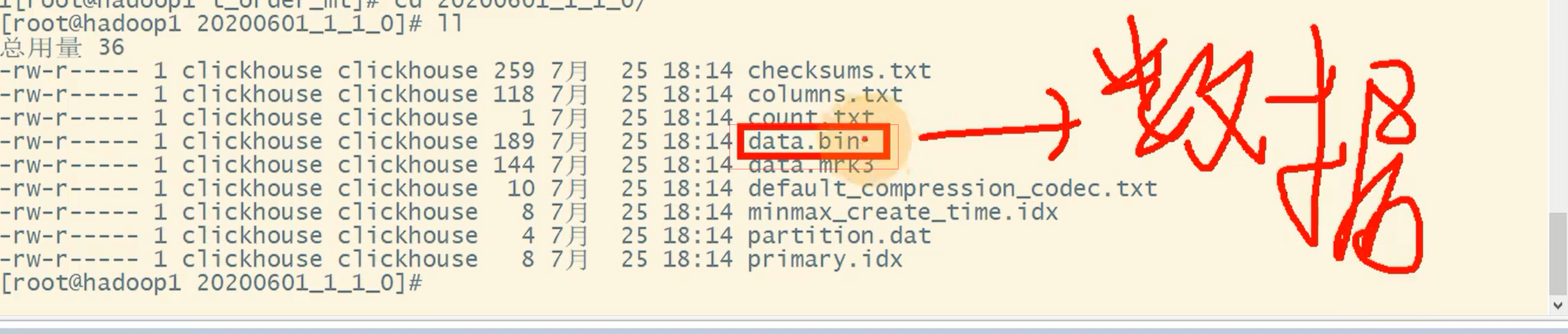 clickhouse_clickhose-CSDN博客