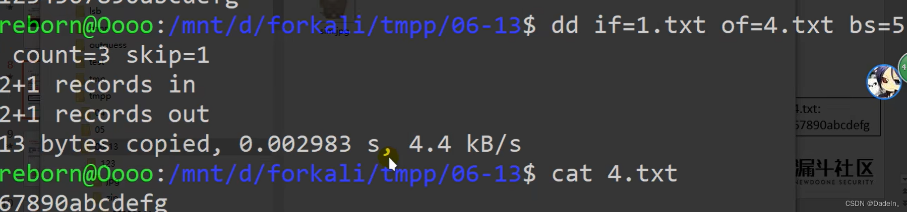 CTF MISC解题思路总结篇_rar伪加密-CSDN博客