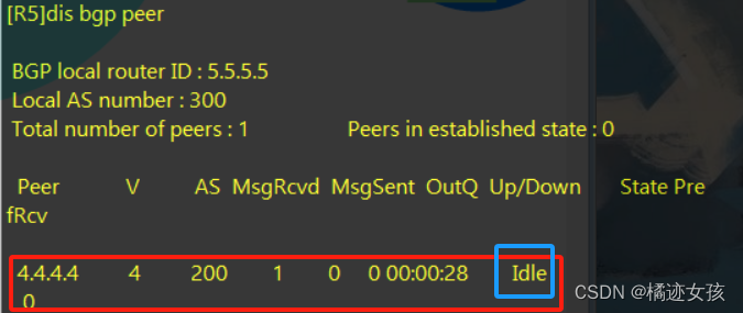 BGP基础配置+BGP路由发布_bgp配置-CSDN博客