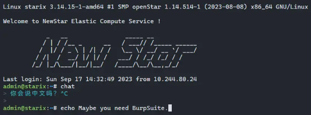 BUUCTF-NewStarCTF 2023-WEB-CSDN博客