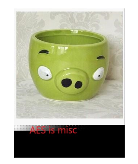 bugku misc-小美的秘密_u2fsdgvkx18qyg4wuetwtffwxkvgunudax-CSDN博客