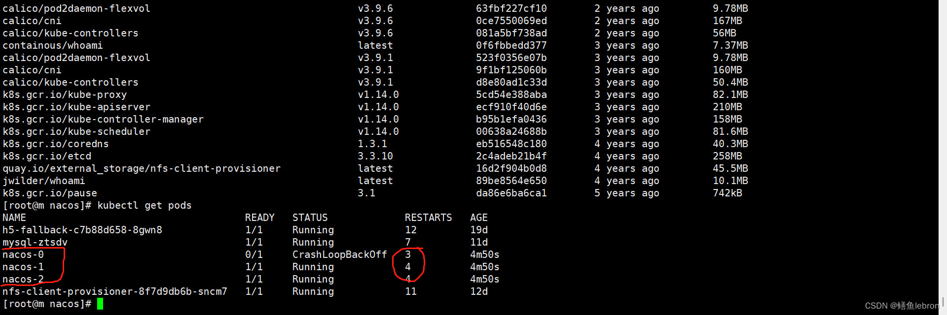 BS问题：k8s部署Nacos Could not resolve placeholder ‘NACOS_AUTH_IDENTITY_KEY‘ in value “${NACOS_AUTH ...