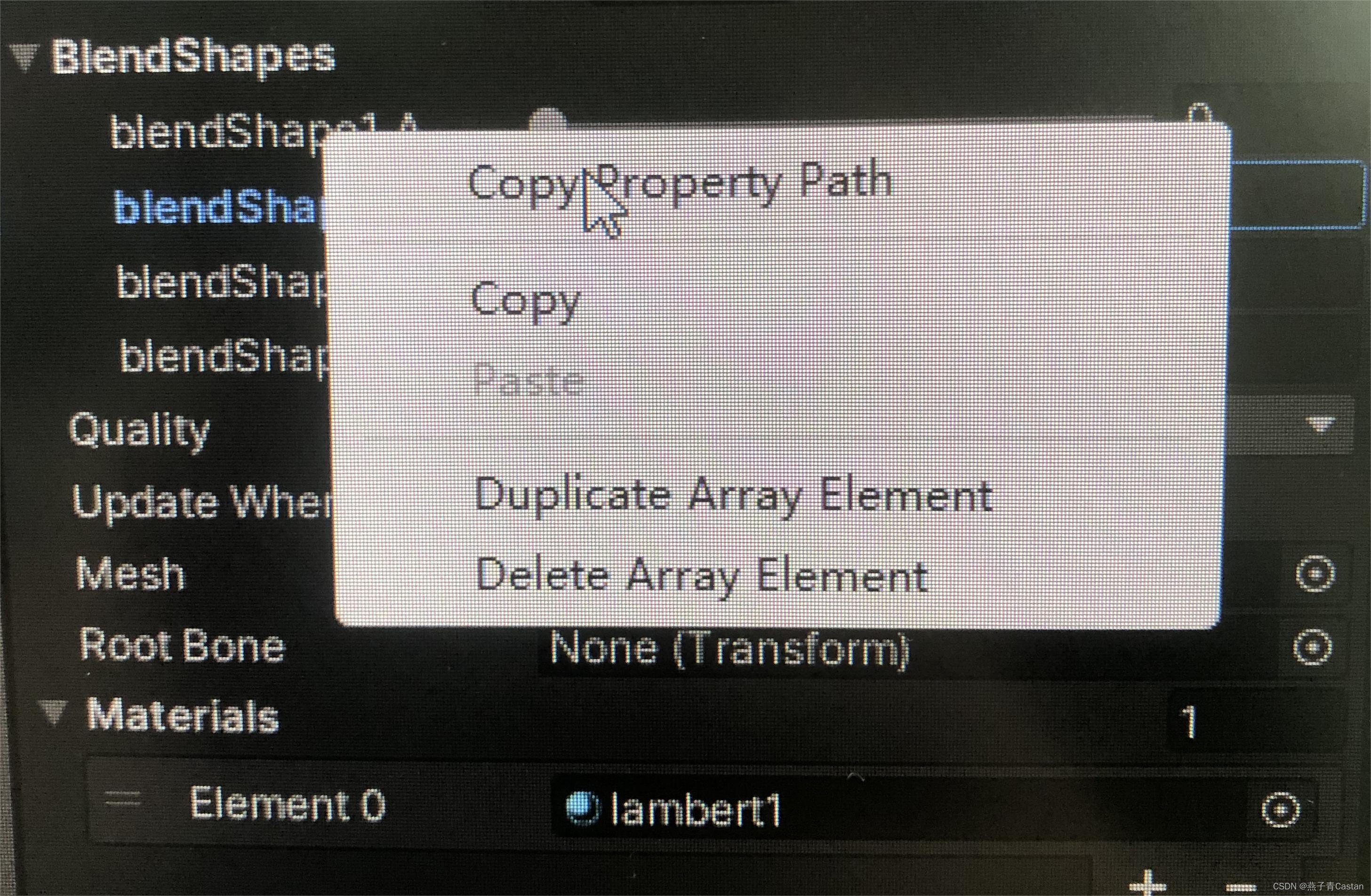 BlendShape导入Unity排列顺序 避坑总结_blend shape unity_燕子青Castan的博客-CSDN博客