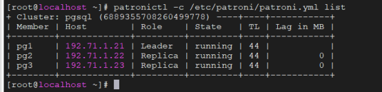 pgsql+patroni+etcd环境搭建_patroni.yml_风间琉璃zero的博客-CSDN博客