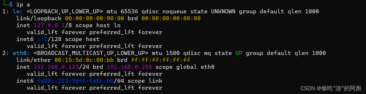 wsl桥接网络以及wsl下的kali，ubuntu等linux的网络桥接_wsl 桥接-CSDN博客