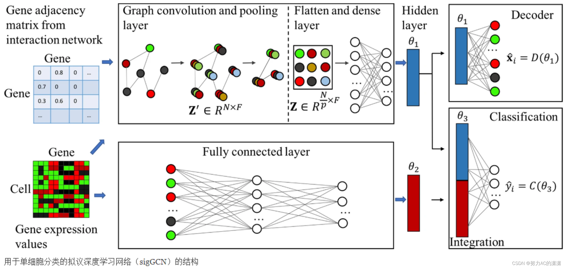 单细胞分类论文阅读笔记 Single Cell Classification Using Graph Convolutional