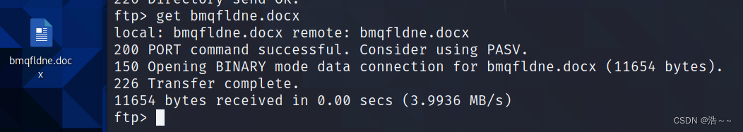 Linux操作系统渗透测试通过本地pc中渗透测试平台kali对服务器场linux进行web扫描渗透测试使用工具nikto Csdn博客